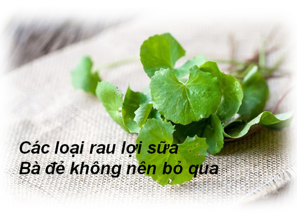 Các Loại Rau Lợi Sữa - Nhiều Dinh Dưỡng Cho Con và Mẹ